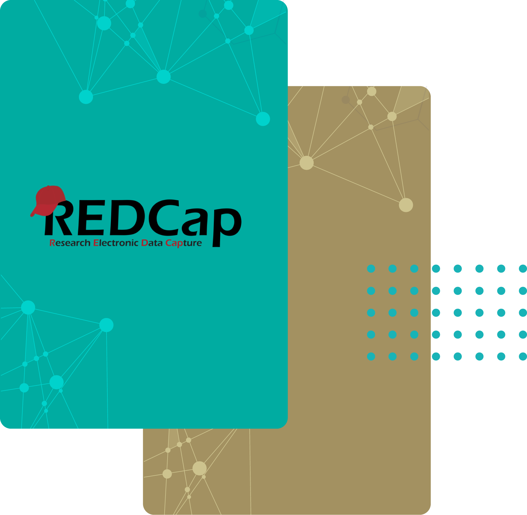 REDCap | Research Electronic Data Capture da CMMG